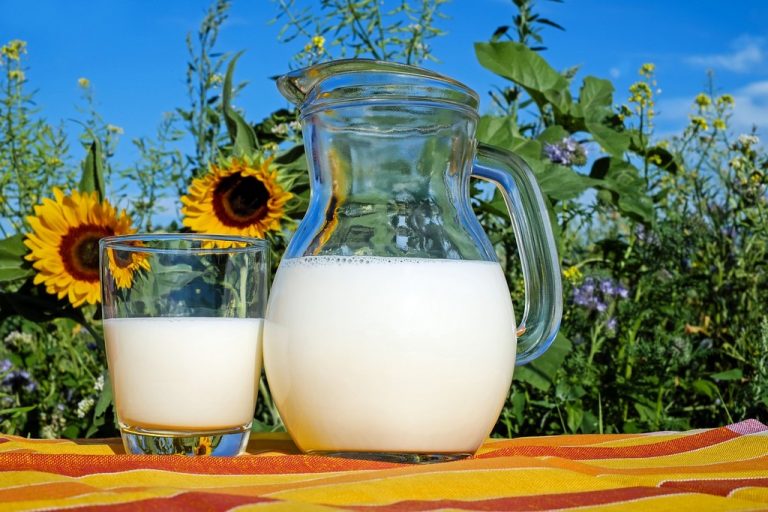 vaso y pichel con leche - Coopeagropal R.L