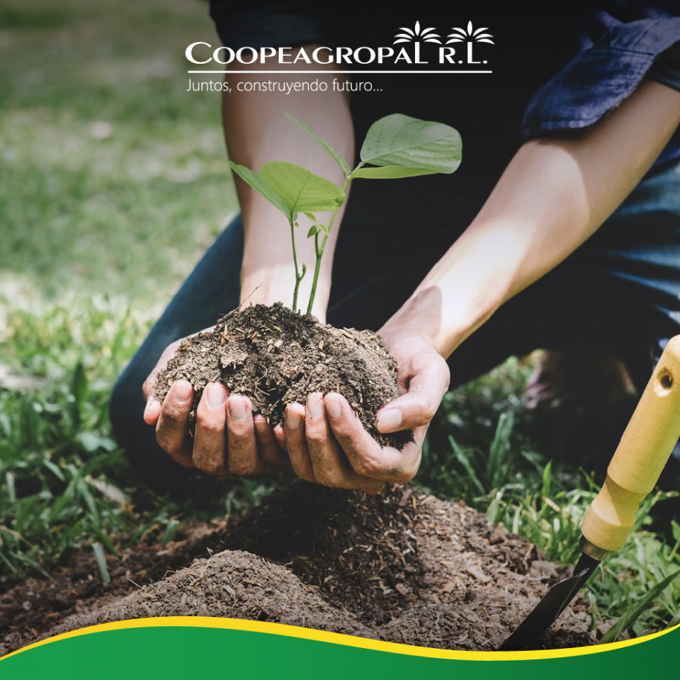 Programas Ambientales - Coopeagropal R.L